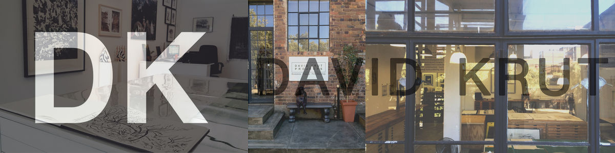 David Krut Projects | Fine Art Biblio